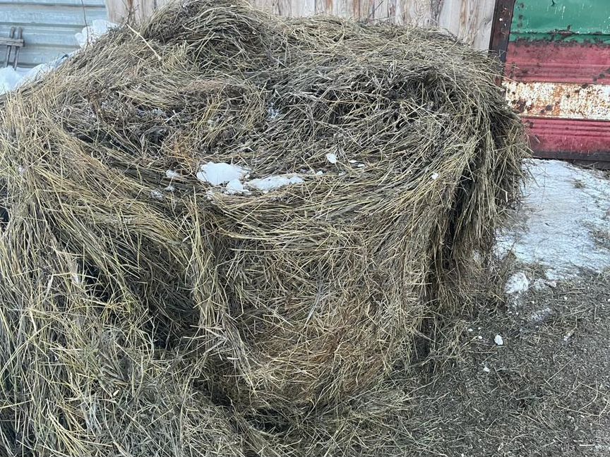 Сено в рулонах