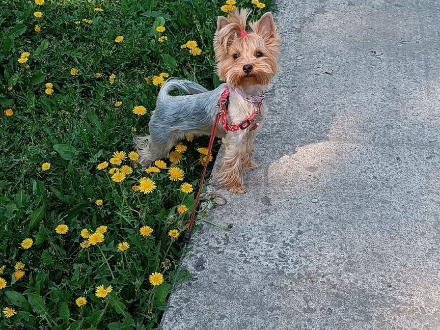 Ищем жениха