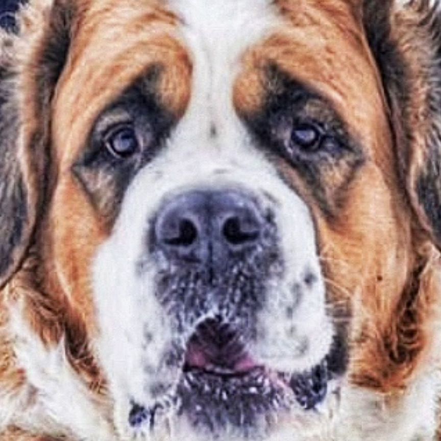 Ищет своего человека