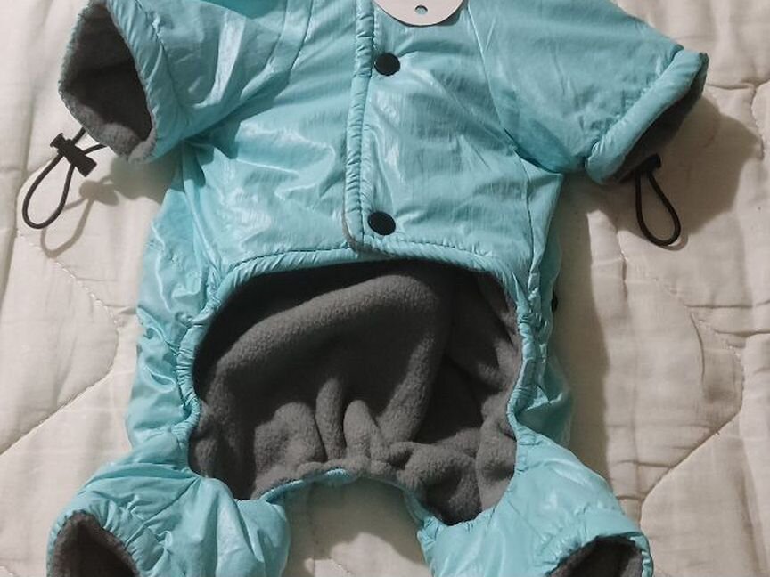 Домашние животные