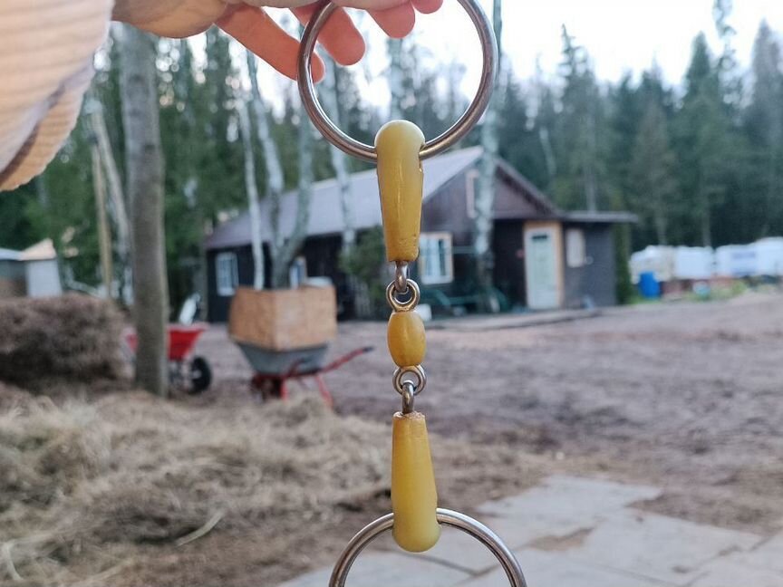 Трензель для лошади