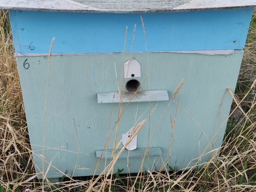 Ульи для пчел (очень теплые - 50 мм утеплитель)