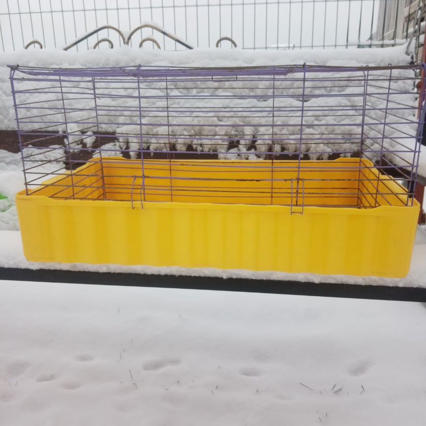 Клетка для грызунов