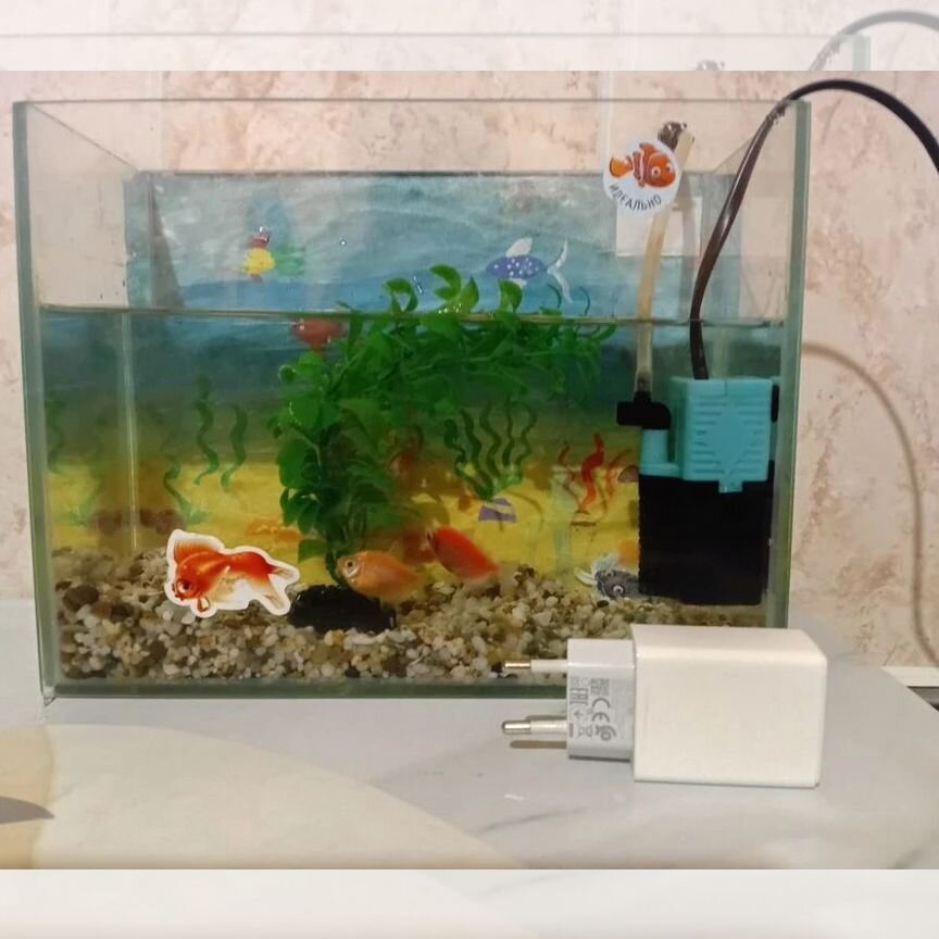 Аквариумные рыбки