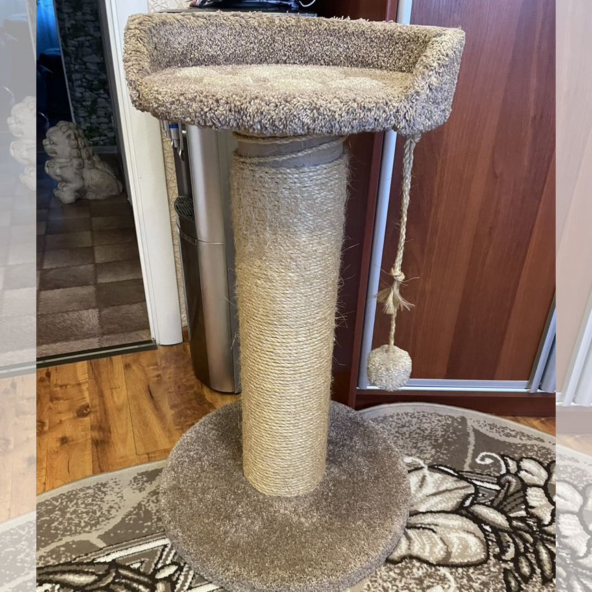 Когтеточка