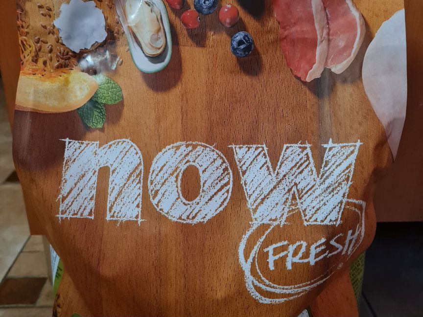 Корм для собак now fresh