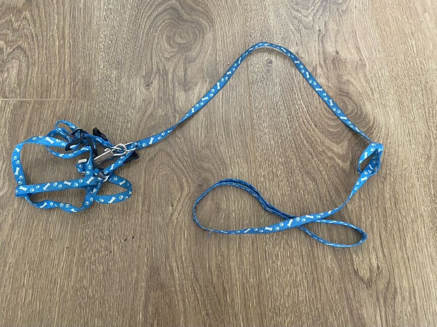 Шлейка игрушки чесалка для кошки