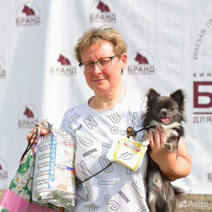 Чих кобель вязка развязан