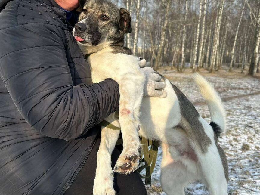 Он все еще вждет Вас, подарите надежду