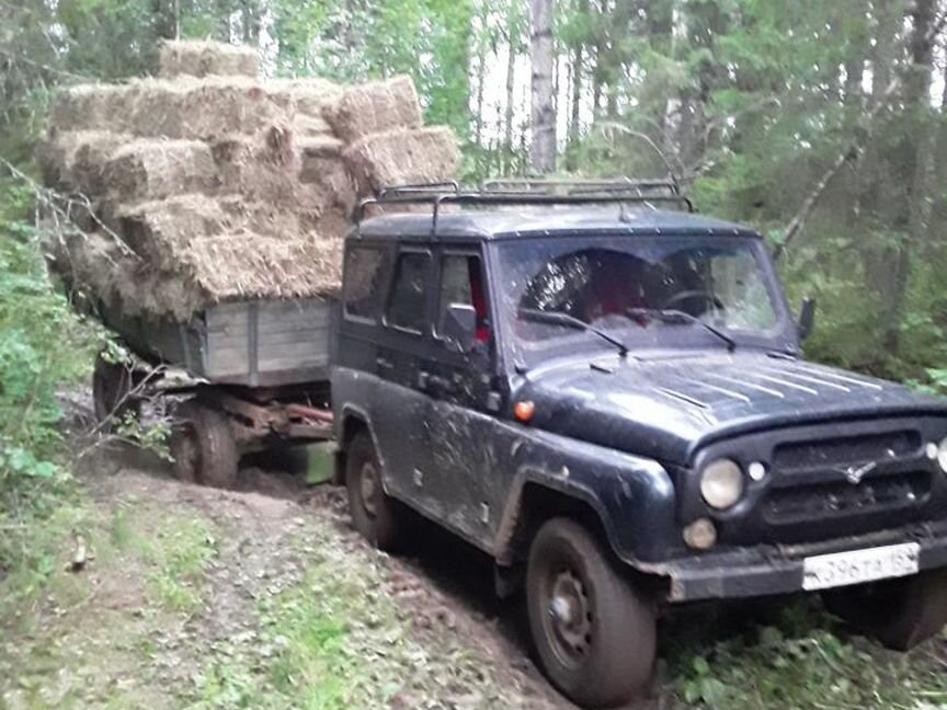 Сено в тюках (брикетах)