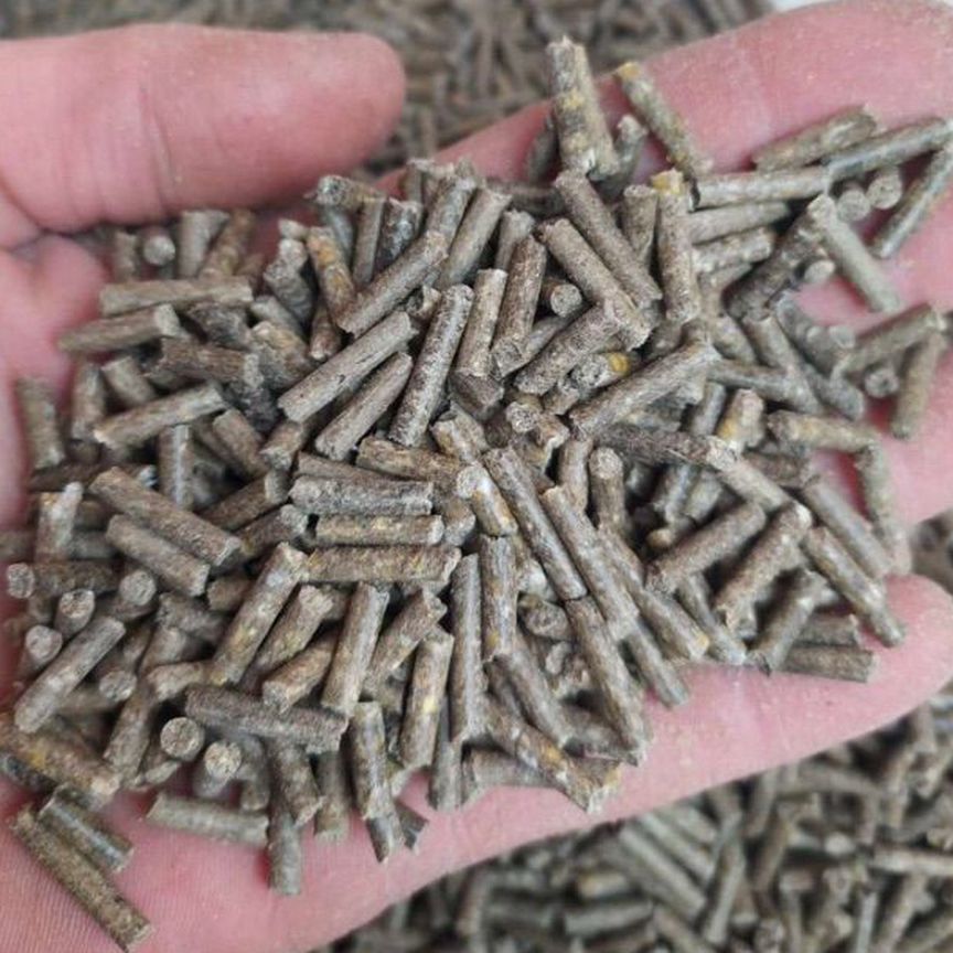 Корм для рыб