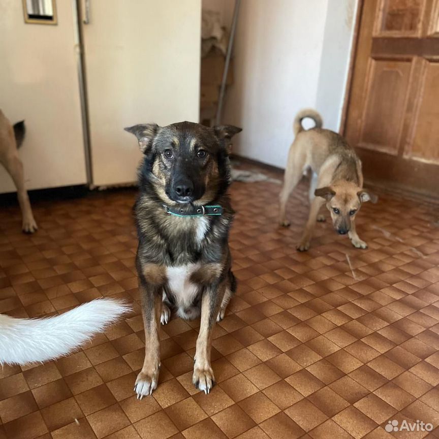 Скромный Вегас в дар