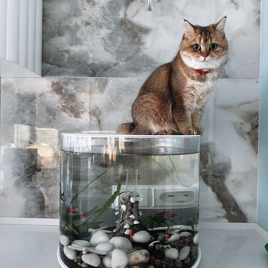 Аквариум biorb 35 литров