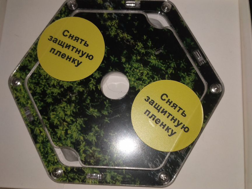 Фармик для муравьёв с перегородками