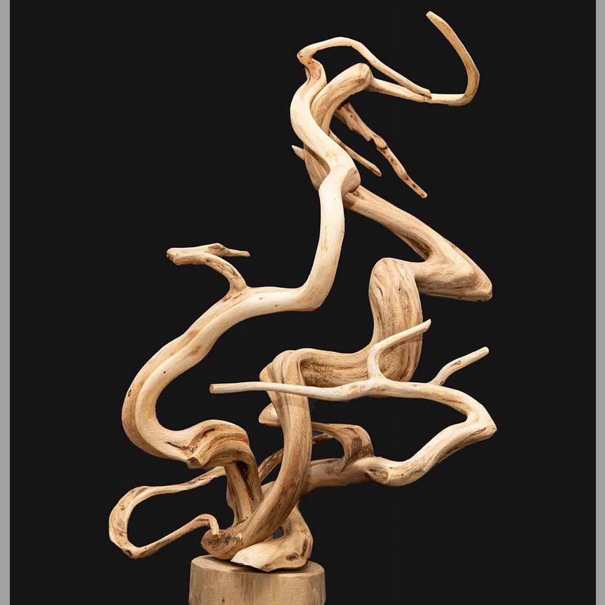 Крымские коряги