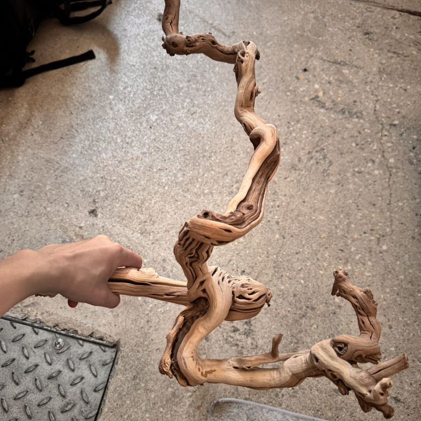 Коряга в аквариум