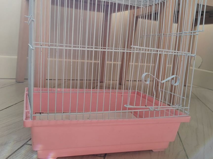 Клетки 28х29х21 и 58х40х48 для грызунов