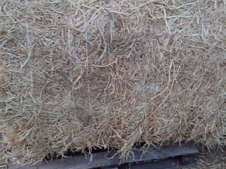 Гороховая солома в тюках