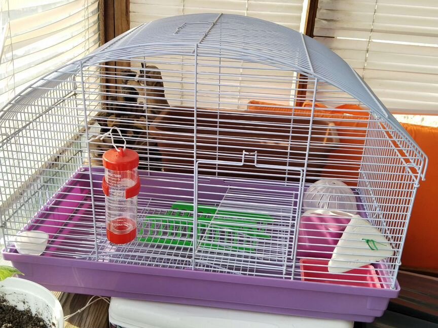 Клетка для грызунов, крыс