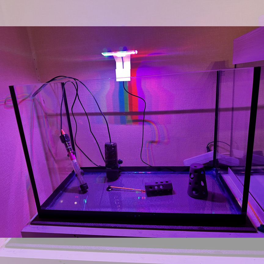 Аквариумистика