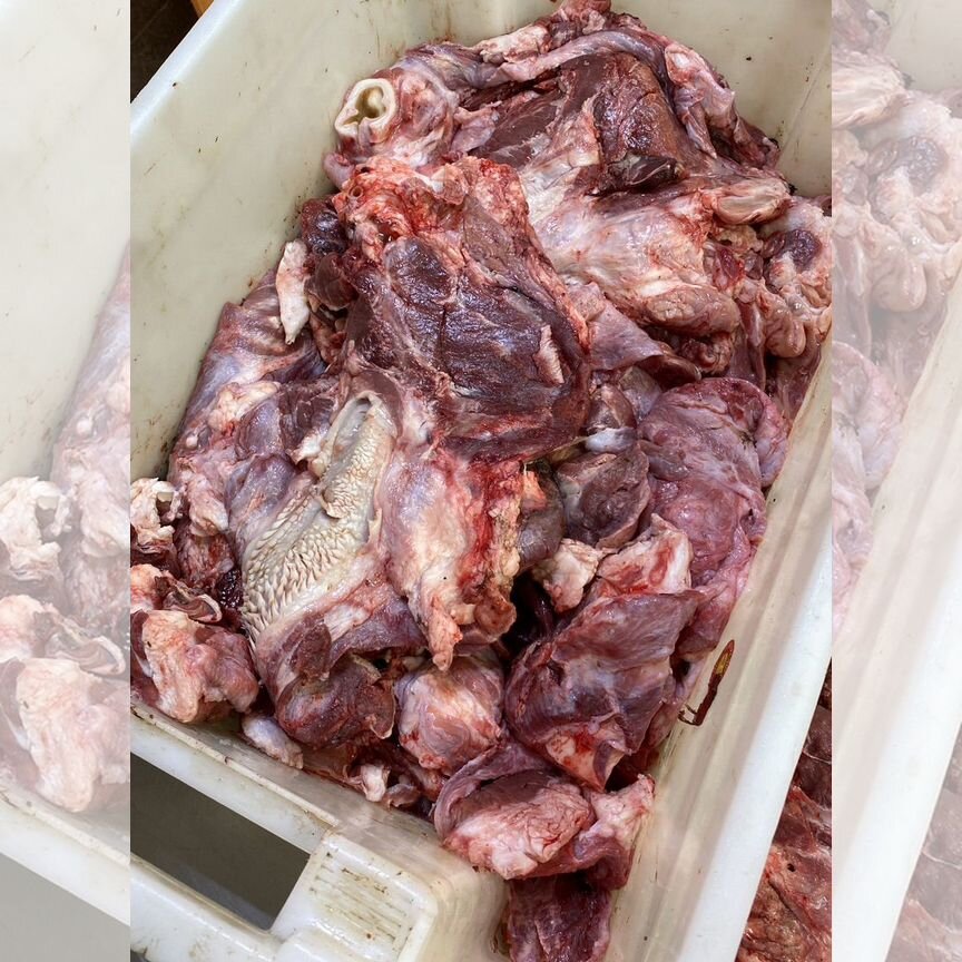 Мясо говядина для собак