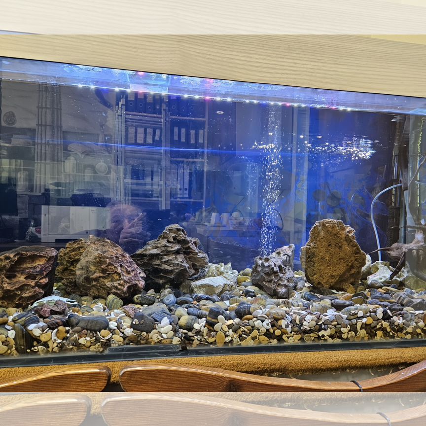 Аквариум 160*60*50 с оборудованием