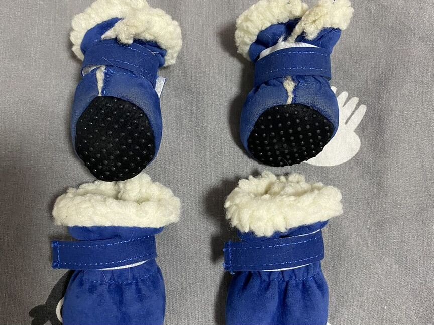 Валенки на маленькую собаку