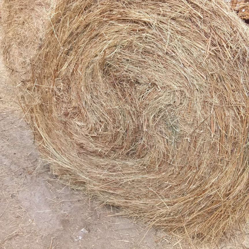 Эко Сено мульча