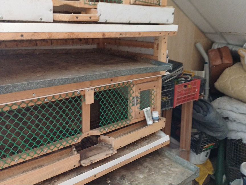 Клетка для перепелок