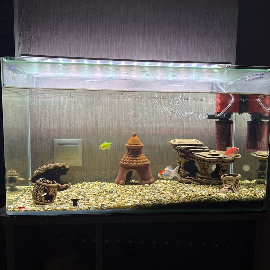 Аквариум полный комплект
