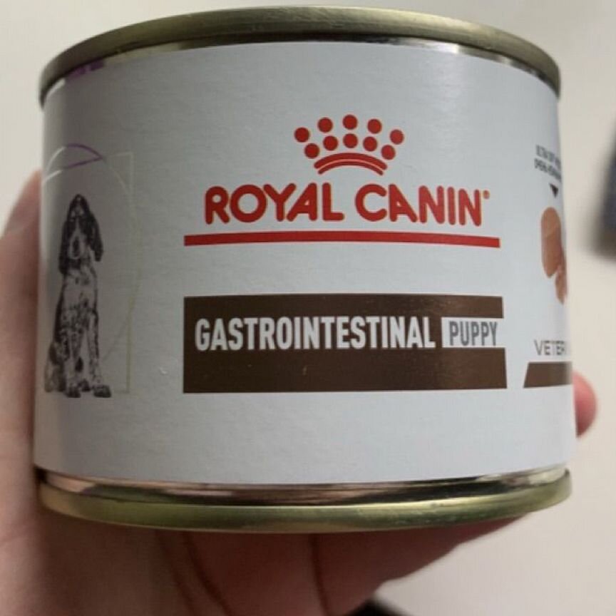 Корм gastro Puppi Royal Canin мусс