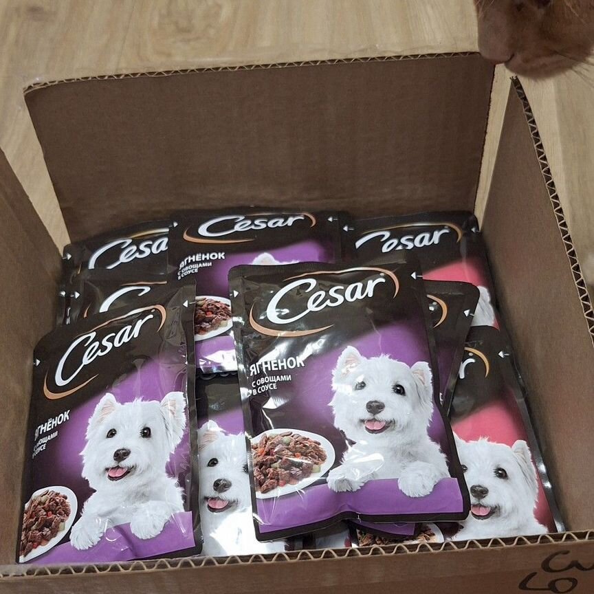 Влажный корм для собак Cesar