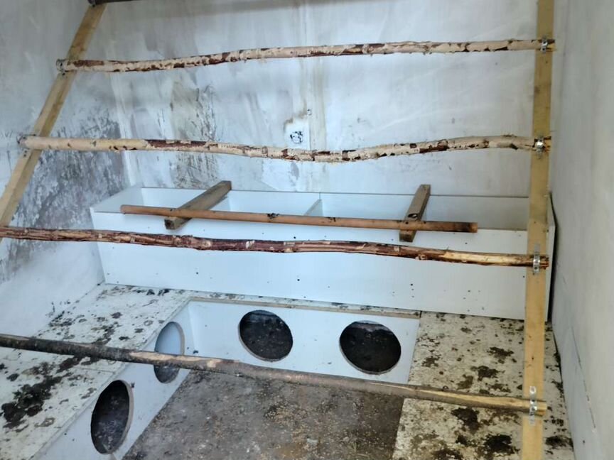 Курятник с курицей