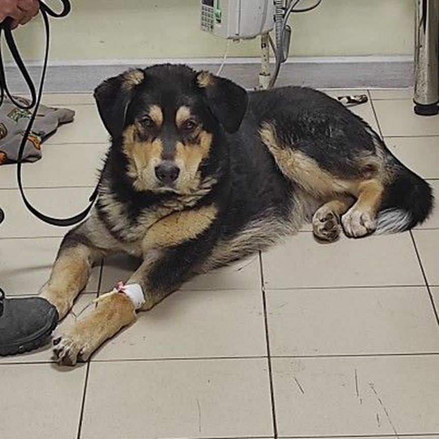 Добрый Мартин подросток