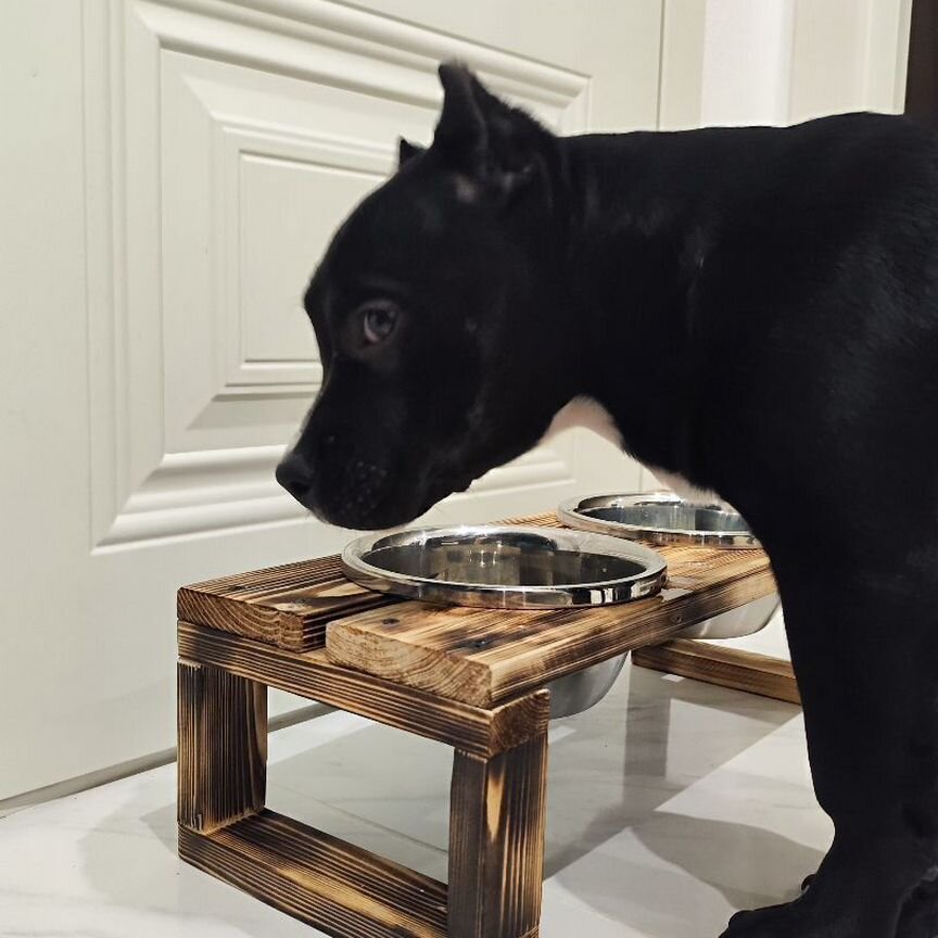 Миска для собак