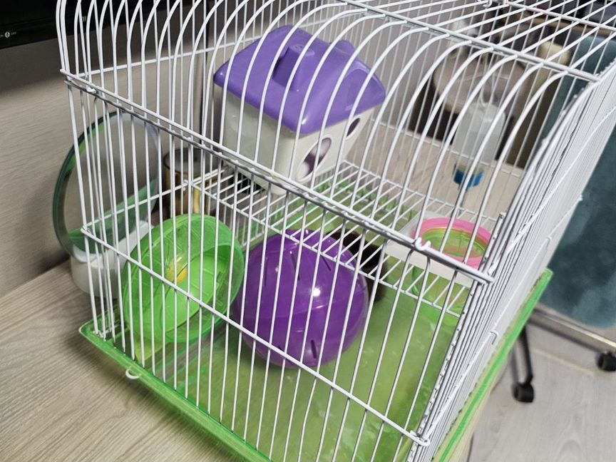 Клетка для грызунов бу