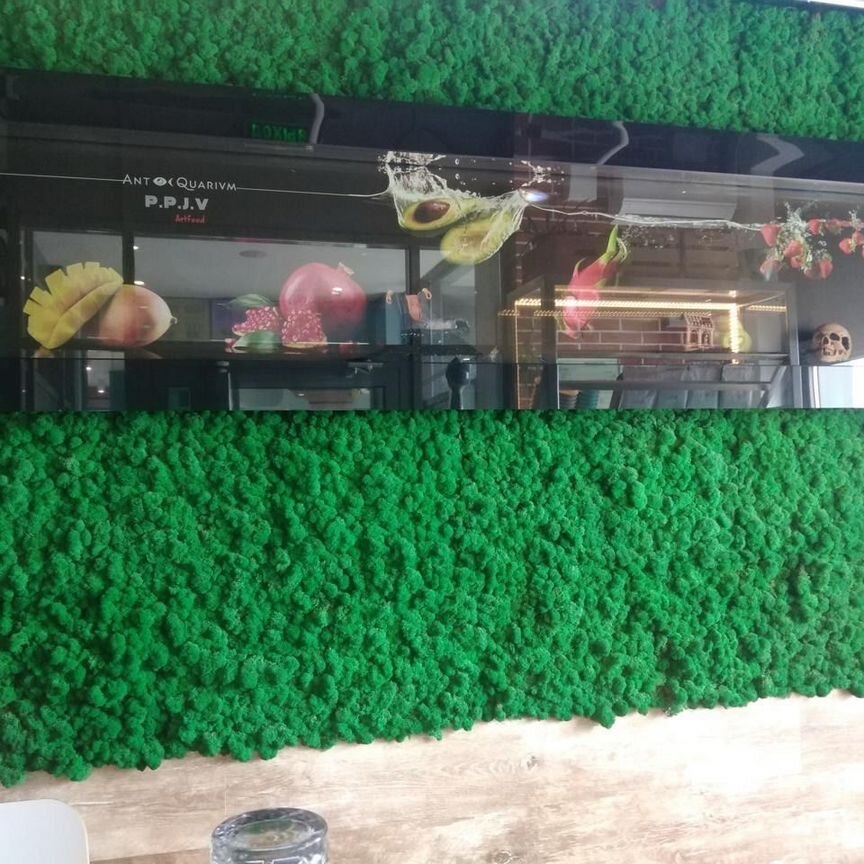 Настенный аквариум