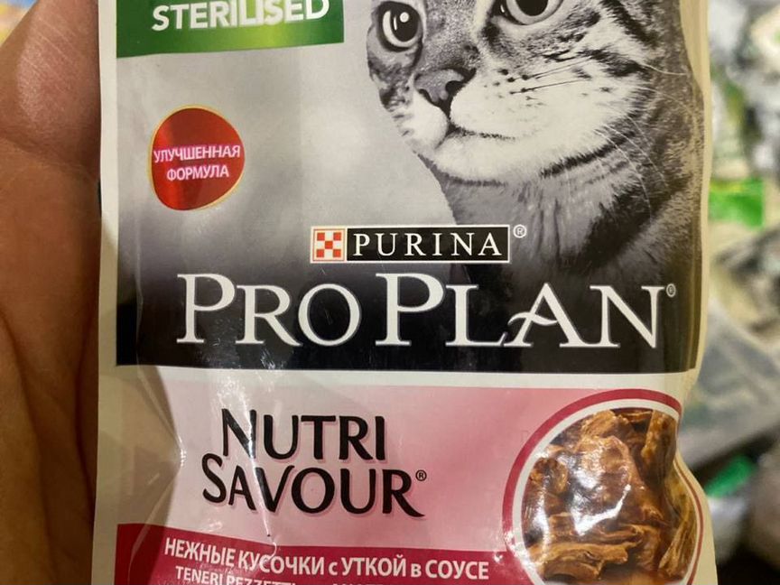 Влажный корм для кошек