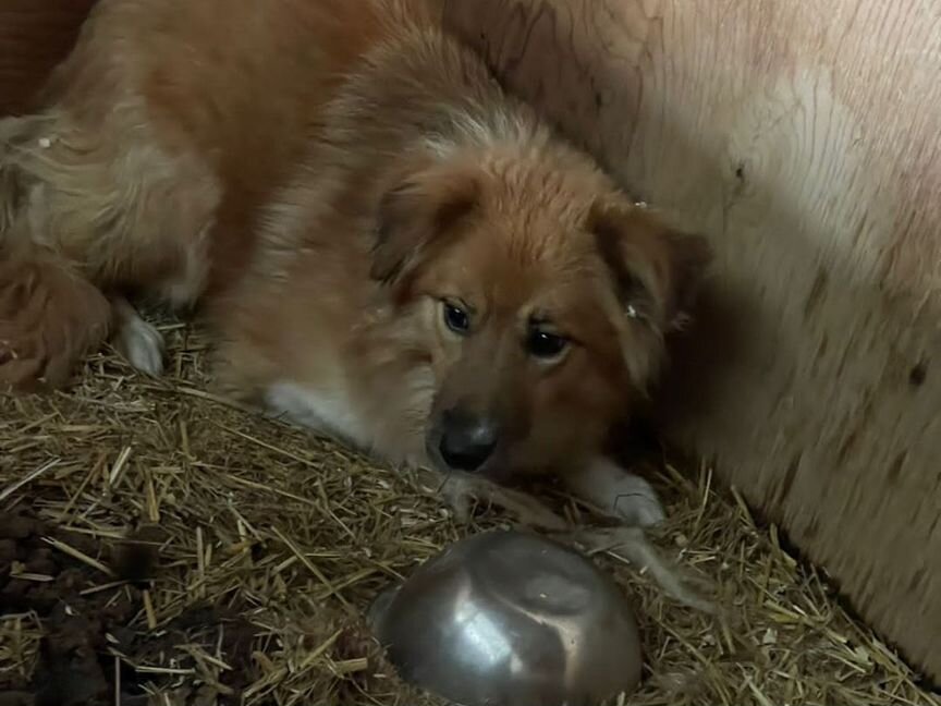 Она научилась не доверять