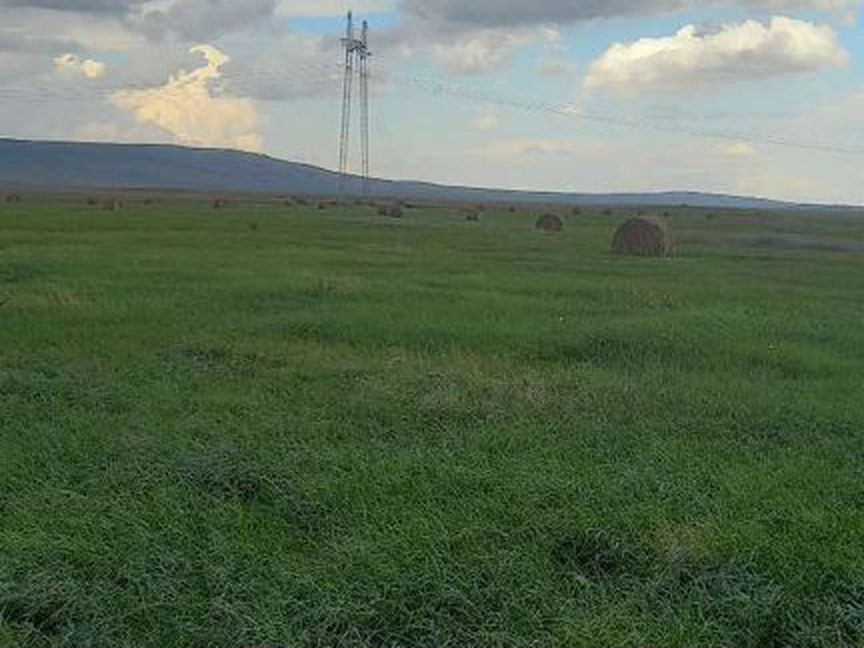 Сено в рулонах
