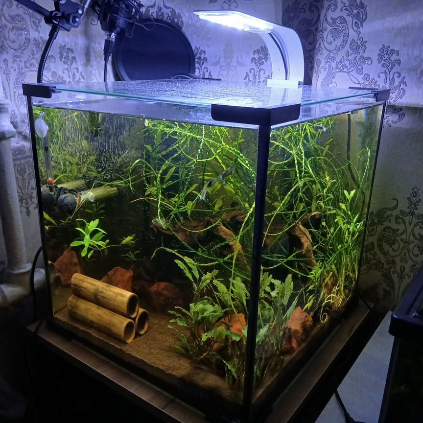 Аквариум 40литров