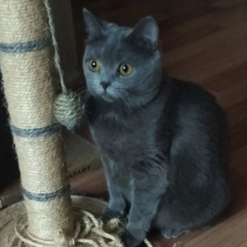 Шикарная малышка