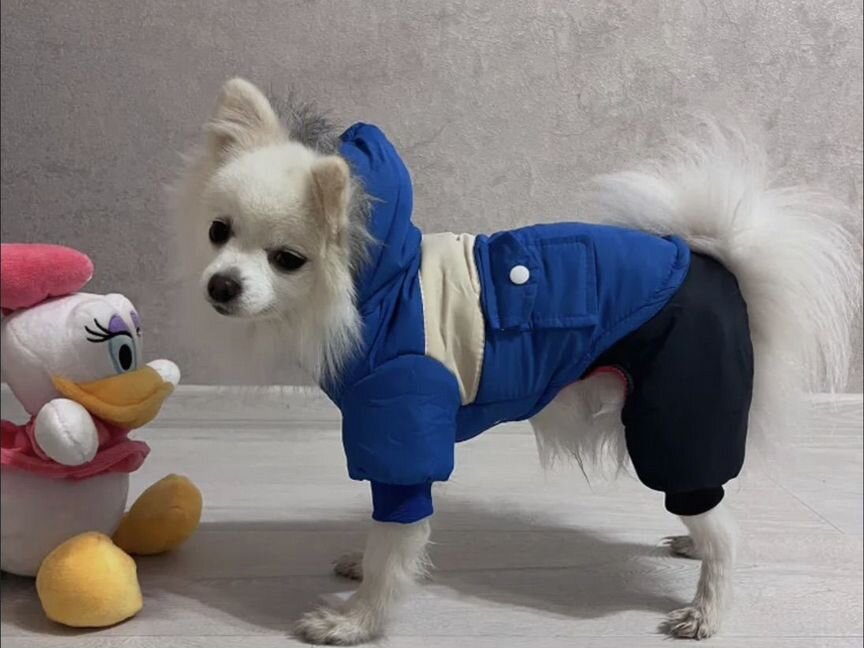 Комбинезон для собаки