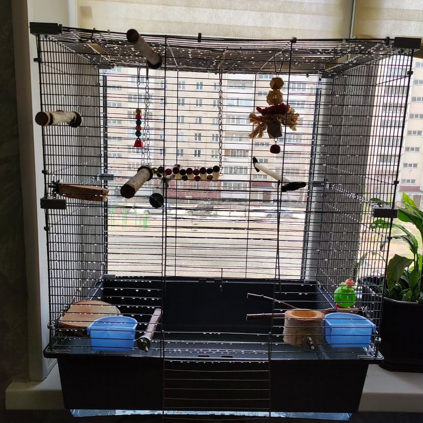 Большая клетка для попугая с присадами
