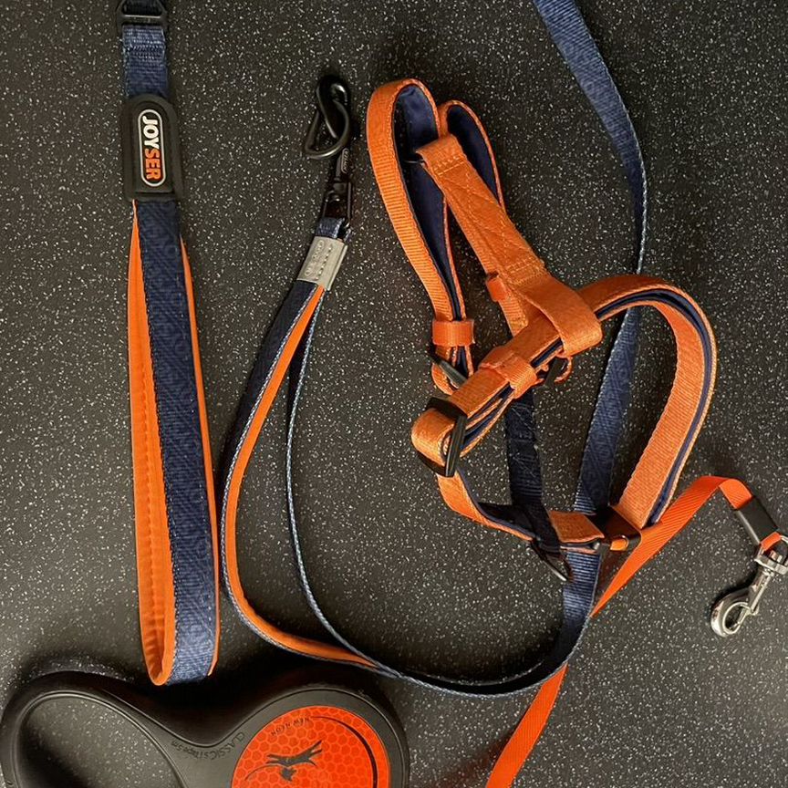 Шлейка и 2 поводка