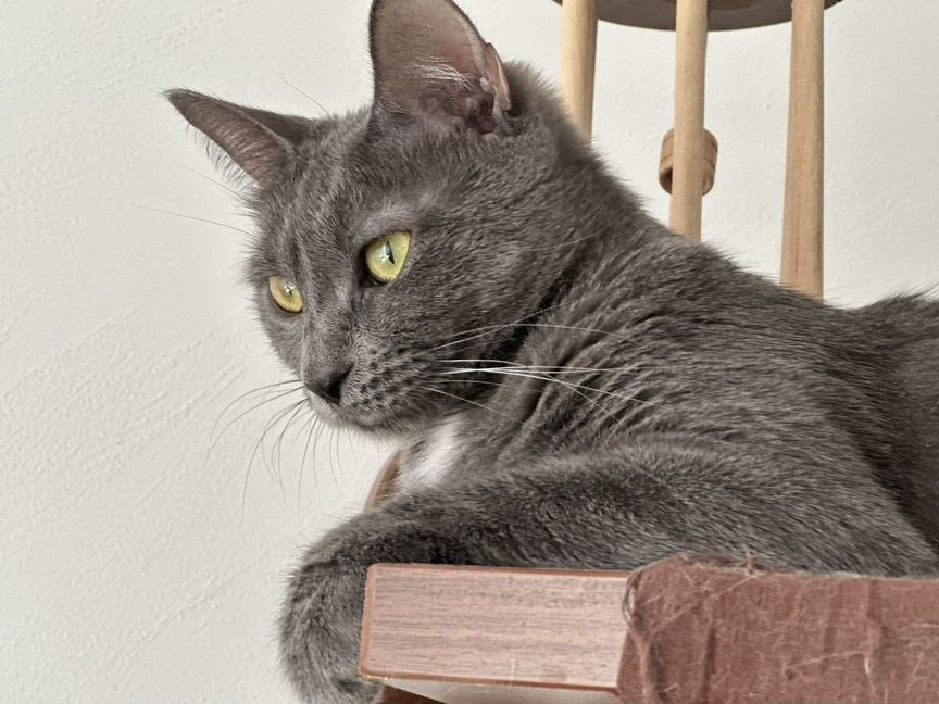 Лиза 2 года ищет заботливую семью