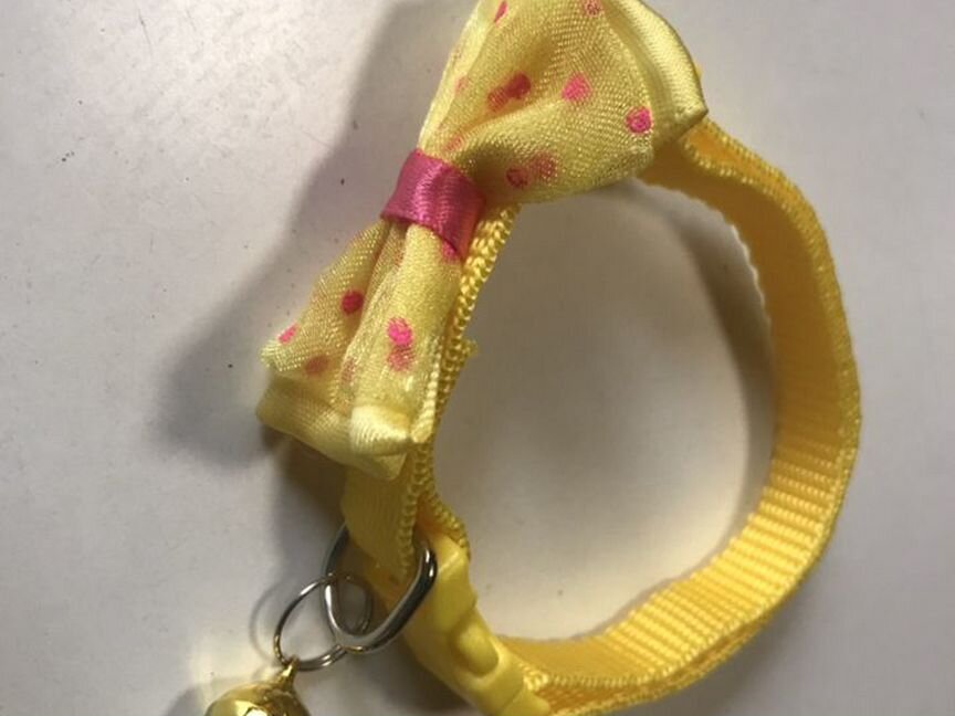 Ошейник для собак