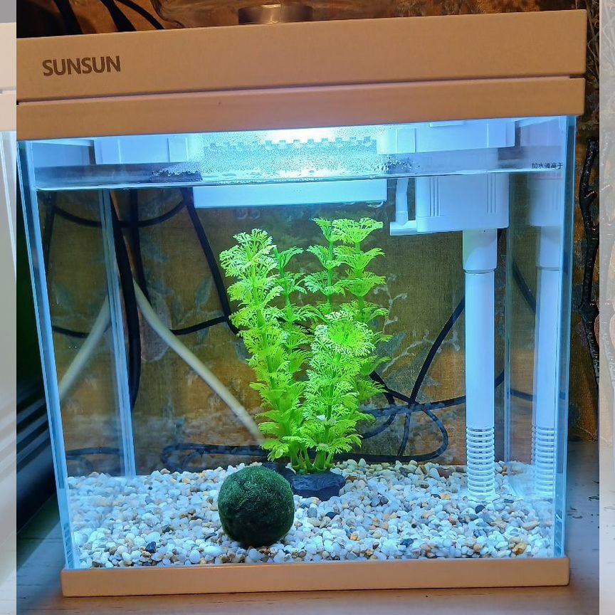 Аквариум новый