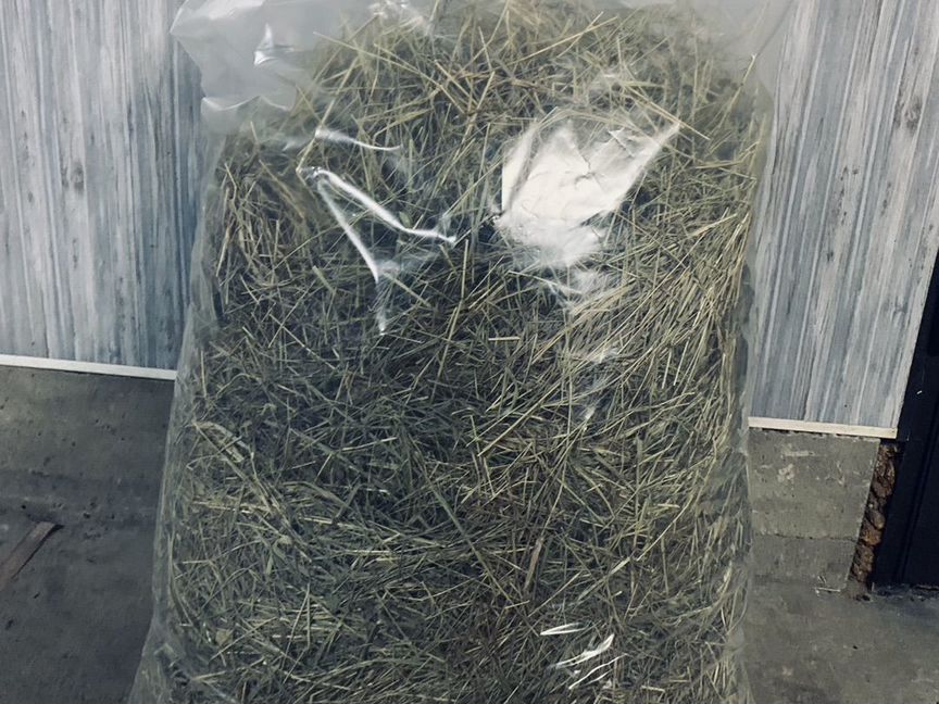 Сено луговое