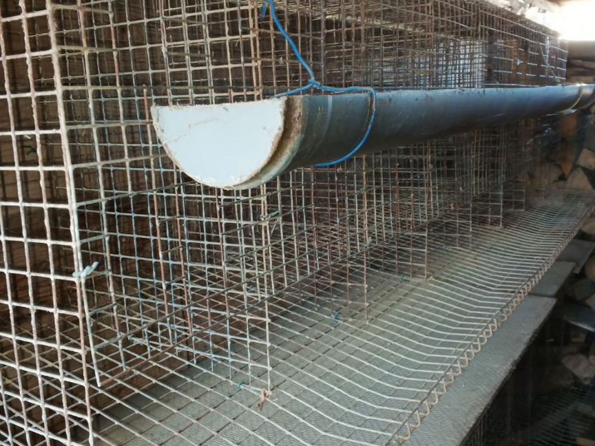 Клетка для птиц